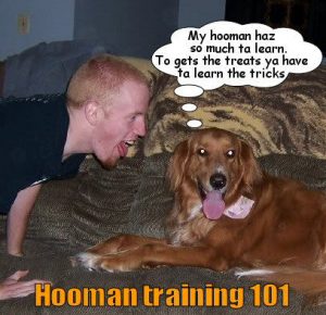 Silly hoomans 🙂