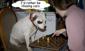 Sometimes humans just don’t get it.
