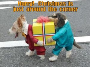 » Christmas is just around the corner