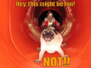 Seemed like a good idea at the time.